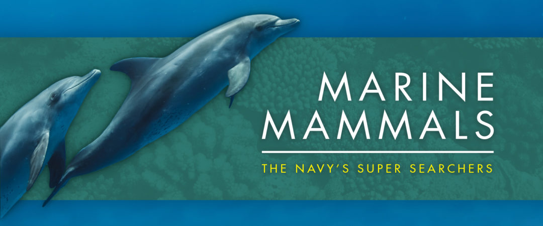 Marine Mammals: Marine Mammal Missions - U. S. Naval Undersea Museum